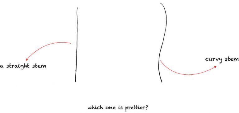 How to Draw Flowers Step-by-Step with Pictures For Beginners - Artful Haven