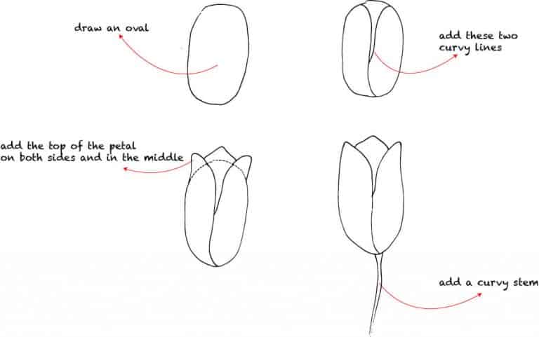 How to Draw Flowers Step-by-Step with Pictures for Beginners - Artful Haven