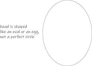 9 Steps to Mastering Female Face Proportions: Easy Tutorial for Beginners - Artful Haven