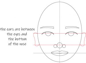 9 Steps to Mastering Female Face Proportions: Easy Tutorial for Beginners - Artful Haven